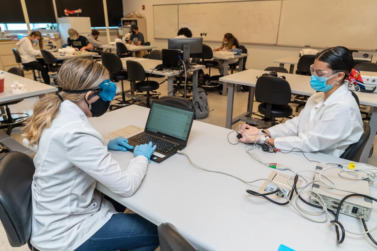Anatomy and Physiology Lab